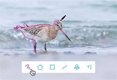 Image Segmentation Labelbox