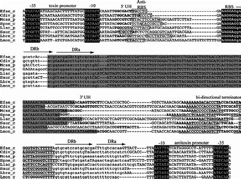 Nucleotide Sequence Alignment Of Fst Like Ta Systems From Different