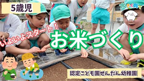 【5歳児】いよいよスタート！お米づくり（種まき編） 認定こども園せんだん幼稚園 Youtube
