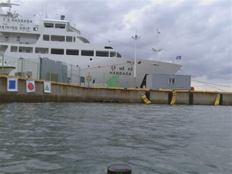 Yolov5 Test 5 Classification Dataset By Yeeun Lim