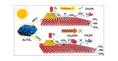 Facet Dependent Photocatalytic Conversion Of Methane To C1 Oxygenates With Autio2 Nanoparticles