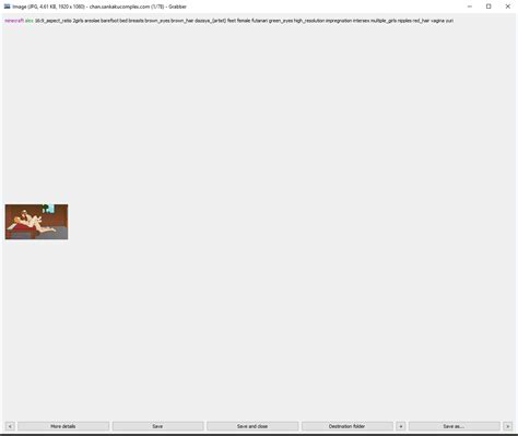 Loading Thumbnails From Sankaku Instead Of Full Sized Images Issue Bionus Imgbrd
