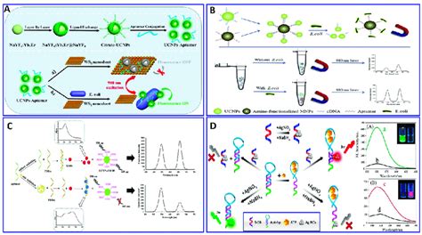 Schematic Description Of The A Sensing Platform For E Coli Detection Download Scientific
