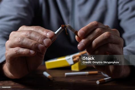 담배 세계 담배의 날 개념이 없습니다 담배 개념을 그만 두십시오 깨진 담배를 손에 들고 있는 근접 촬영 남자 개념에 대한 스톡 사진 및 기타 이미지 Istock