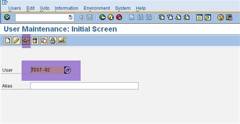 How To Restrict Infotype 0008 Data For Specific E Sap Community