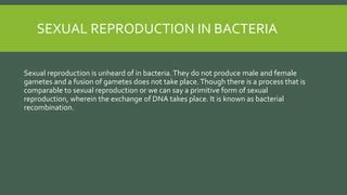 Reproduction In Bacteria Understanding The Vital Processes Of Bacterial Reproduction PPTX