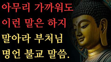 아무리 가까워도 이런 말은 하지 말아라 부처님 명언 불교 말씀 Youtube