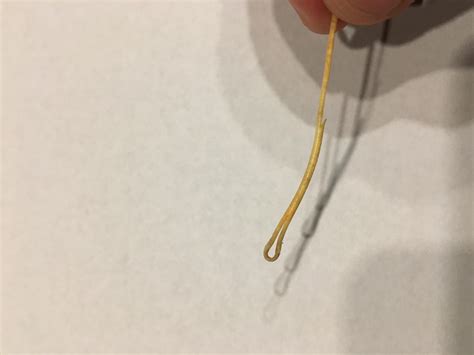 Fly Line Loop Repair Replacement R Flyfishing