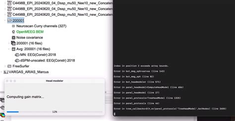 Curry Output Files Of Ctf Meg Eeg Cannot Compute Meg Head Model Discussions Brainstorm
