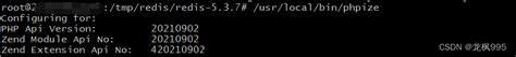 Docker Php安装redis扩展 Csdn博客