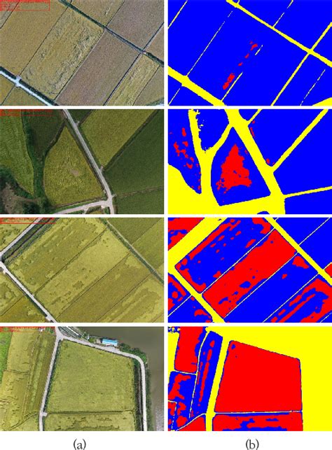 figure 5 from estimation of rice lodging using semantic segmentation