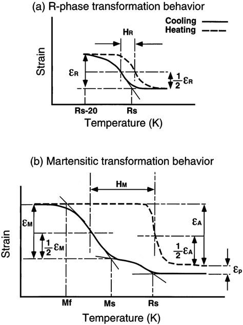 schematic strain temperature curves representing shape memory behavior