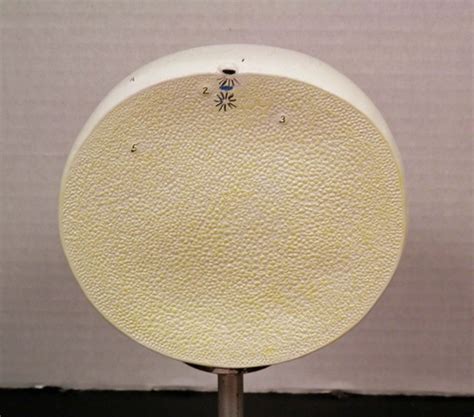 Models Flashcards Quizlet