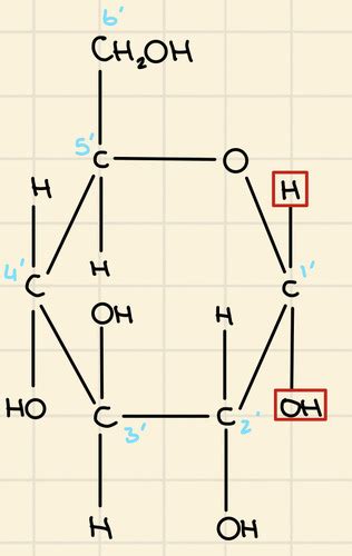Biological Molecules Flashcards Quizlet