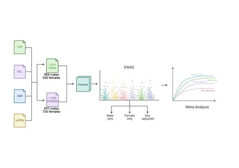 Uncovering The Role Of Sex In Dna Methylation And The Discovery Of