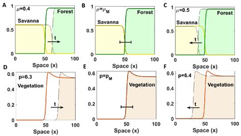 Front Propagation Over Time In One Dimensional Space Direction Of