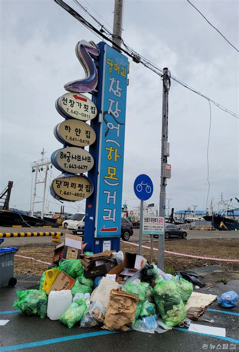 현장고발 여수 관광지 도심 쓰레기 눈살수십 번 말해도 개선 안 돼
