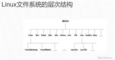linux基础 csdn博客