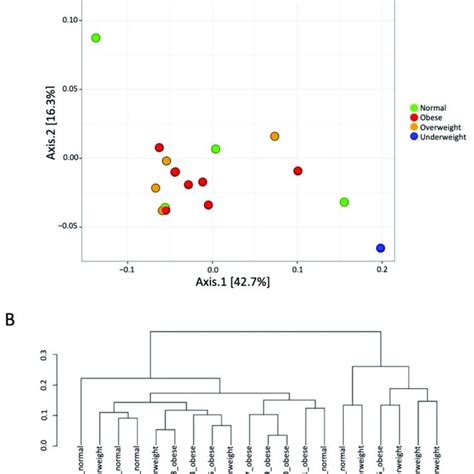 Core Microbiome Structure A Bar Plot Showing The Relative Abundance Core Microbiome Structure A Bar Plot Showing The Relative Abundance