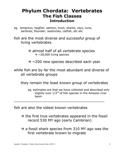 Phylum Chordata Vertebrates The Fish Classes Introduction