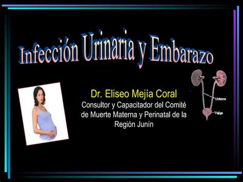 3 Infección Urinaria Y Embarazo Pptghgh Ppt
