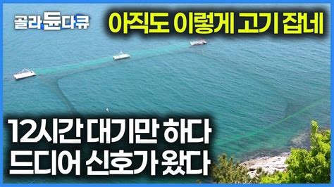 고기 떼가 오기까지 12시간 동안 대기하는 선원들 허락 없이는 그물 들어 올리지도 못한다 봄 제철 생선 숭어 잡이｜극한직업｜골라듄다큐 Youtube