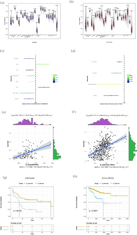 The Associated Analysis Of Slc14a1 And Immune Cells A And B Used