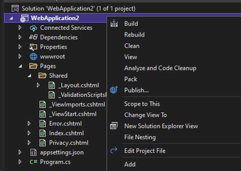 Deployment How To Deploy ASP NET Core MVC Site To Third Party Hosting