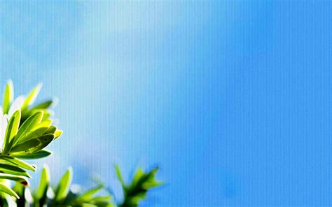 Весняний фон для презентації картинки та фото 60 шт