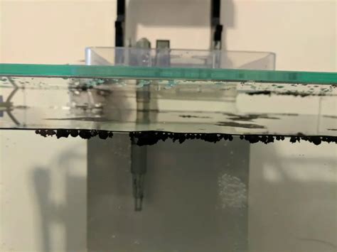 What Level Of Nitrite Is Toxic To Fish A Vital Guide Aquariumia