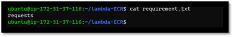 Build And Deploy Workloads Using Elastic Container Registry