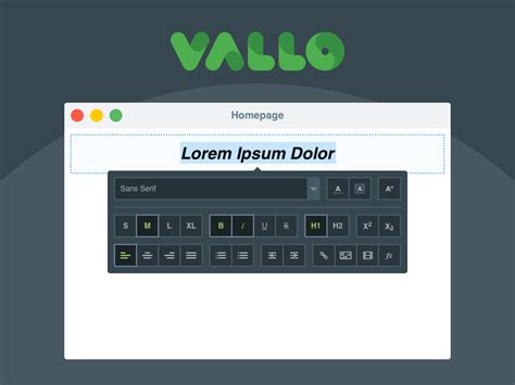 Rich Text Editor by Recep Kütük on Dribbble