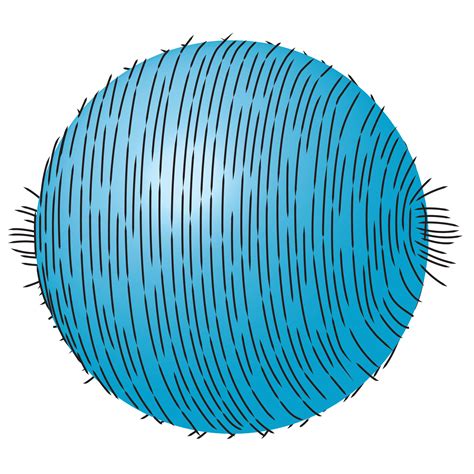 Maths Hairy Ball Theorem Has Surprising Implications Scientific American