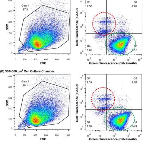Density Plots Of Flow Cytometry Analysis On Apc Annexin V And 7 Aad