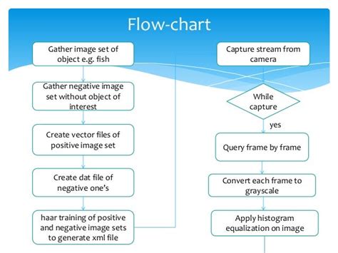 Object Detection