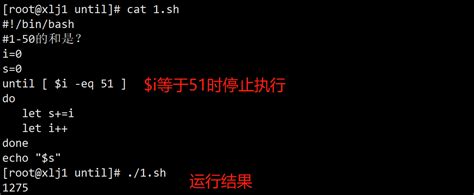 shell编程之循环语句与函数 sh文件函数循环 csdn博客