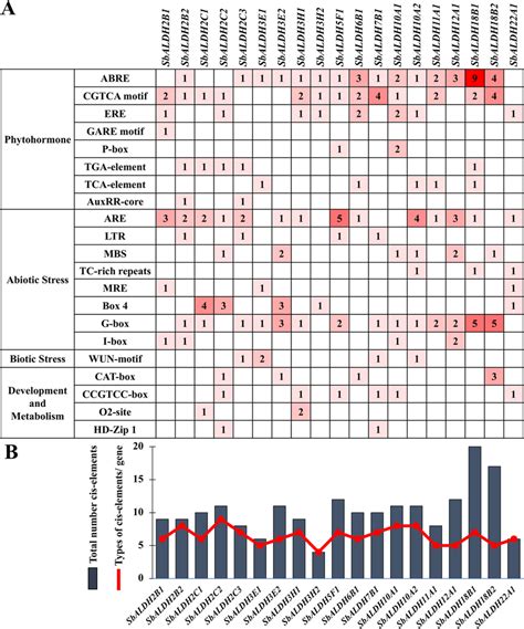 Analysis Of Cis Regulatory Elements In The Putative Promoter Region Of Download Scientific