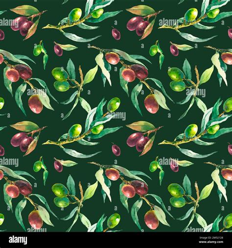 Watercolor Seamless Pattern Of Green And Black Olive Branches On A Dack Green Background For