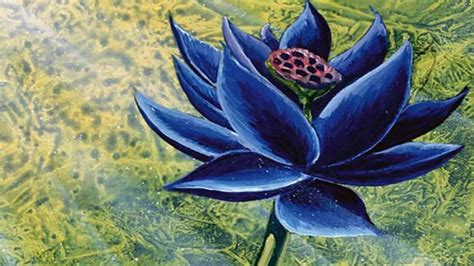 A Signed Black Lotus Card Just Sold For Millions Could It Break The