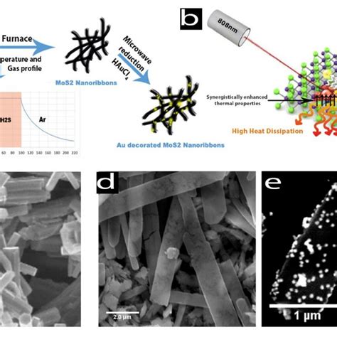 Synthesis And SEM Characterizations A Schematic Of Synthesis Route Download Scientific