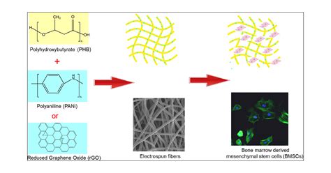 Fabrication And Characterization Of Piezoelectric Polymer Composites And Cytocompatibility With