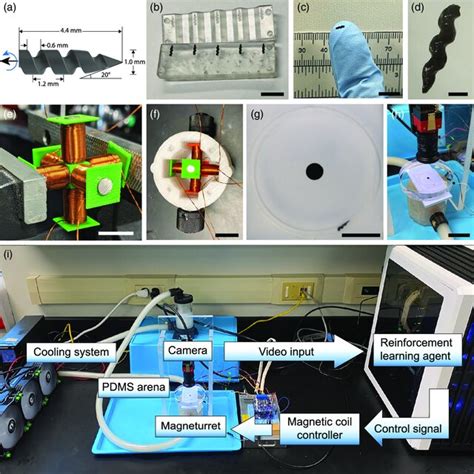 Hardware For Real‐world Control Of Magnetic Microrobots Using Rl A