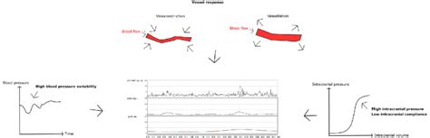 Icp Variability Explanatory Variables Schematic Drawing Of The Main