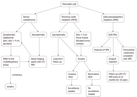 Serous Cystadenoma Pancreas Treatment