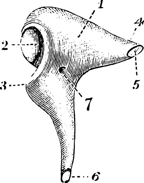 Incus Vintage Illustration 35484338 Vector Art At Vecteezy