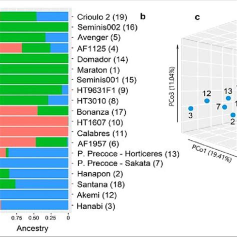 Wards Hierarchical Grouping A Bayesian Clustering Considering K 3