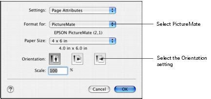 Printing From Your Computer