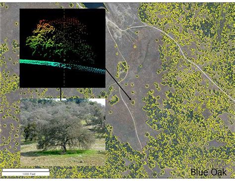 Lidar And Remote Sensing Services · Ecorp Consulting Inc