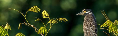 Compuware About Compware Technology Briefing Core Value And Words From The Compuware Funder