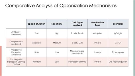 Understanding Opsonization The Key Process In Immune Response And Pathogen Elimination Ppt